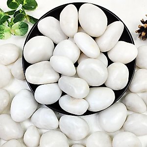 YISZM 2lbs White River Rocks, 1-2 Inch Natural Pebbles for Indoor Plants, High Polished Decorative Stones Vase Filler Fish Tank Aquariums Landscaping Garden Outdoor and Indoor DIY