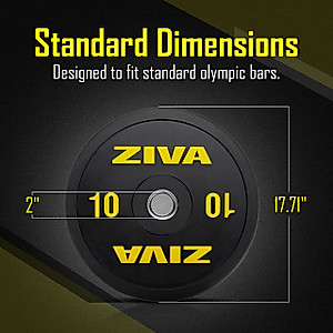 ZIVA Rubber Bumper Weight Plate - One Piece 10 lbs. Strength Training Plate - Fits 2” Olympic Bars - Precision-Calibrated Iron Weight, Ultra Durable Premium Virgin Rubber Coating - Low Bounce (10)
