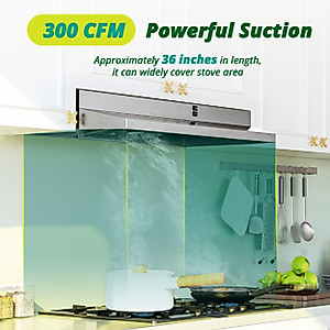 FIREGAS Range Hood 36 inch Under Cabinet, Ducted/Ductless Convertible Kitchen Hood, Stainless Steel Vent Hood with LED Light,2 Speed Exhaust Fan, Silver