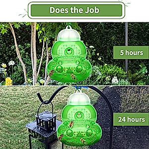 Wasp Traps Outdoor Hanging, Wasp Repellent Outdoor Yellow Jacket Bee Traps Catchers Killer for Outside Carpenter Hornet Wasp Deterrent Non-Toxic Reusable Hanging Bee Trap 2 Pack Green
