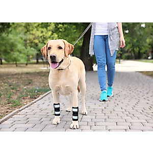 NeoAlly Dog Canine Front Leg Compression Braces Super Supportive with Metal Spring Strips to Stabilize Dog Front Leg Wrist Carpal, Prevents Leg Injuries & Sprains (S/M Pair)