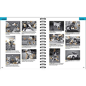 Brain Games - Picture Puzzles: Goes to the Dogs