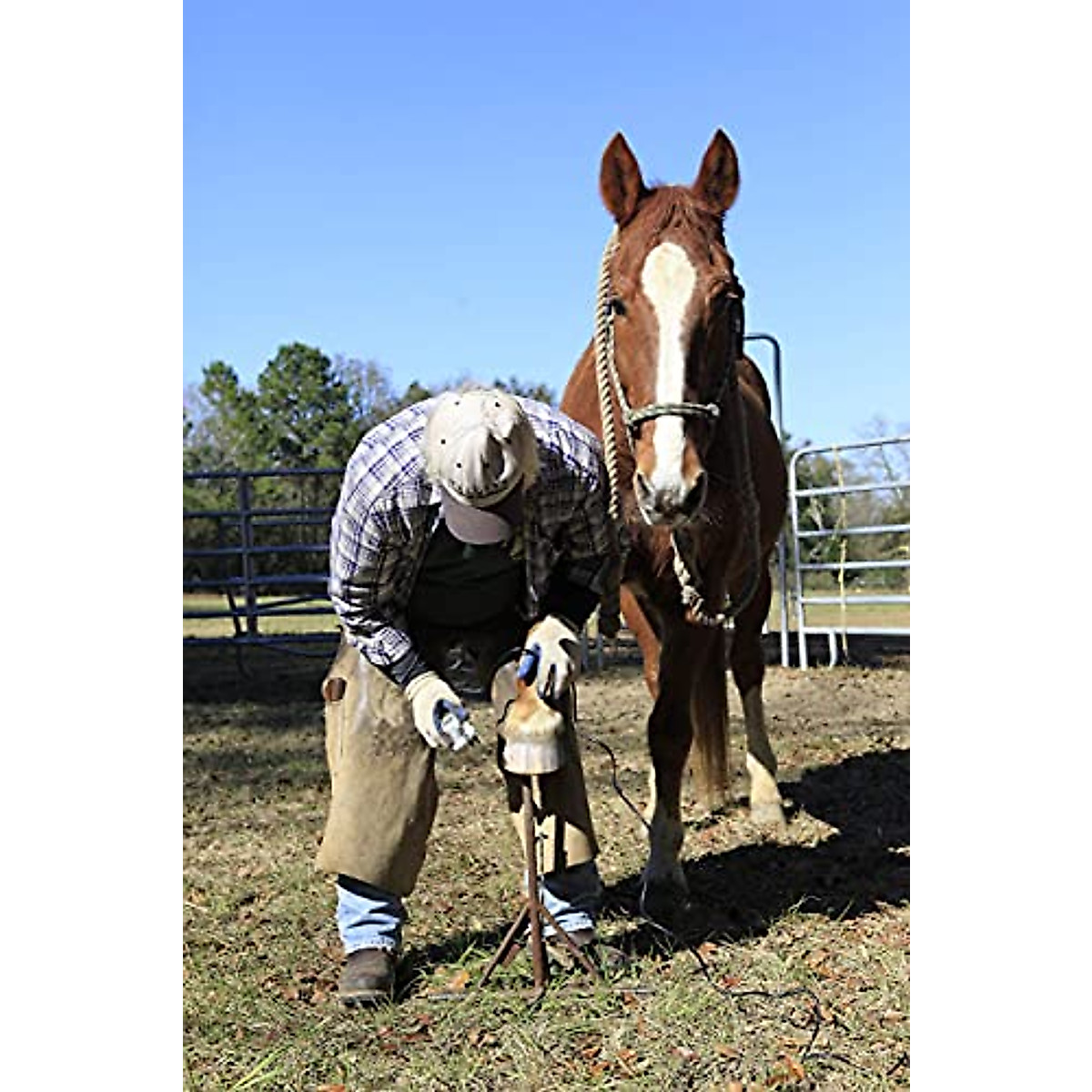Complete Horse Hoof Trimmer Set – Electric Plug in - 110 Volt - Accessories Included
