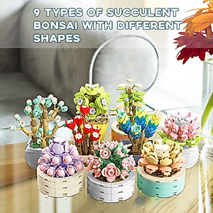 JMBricklayer Flowers Succulents Botanical Collection Building Sets, Plants Office Home Decor Succulents Bonsai Building Toys, Creative Flowers Building Project for Adults, Gifts Ideas for Girls Women