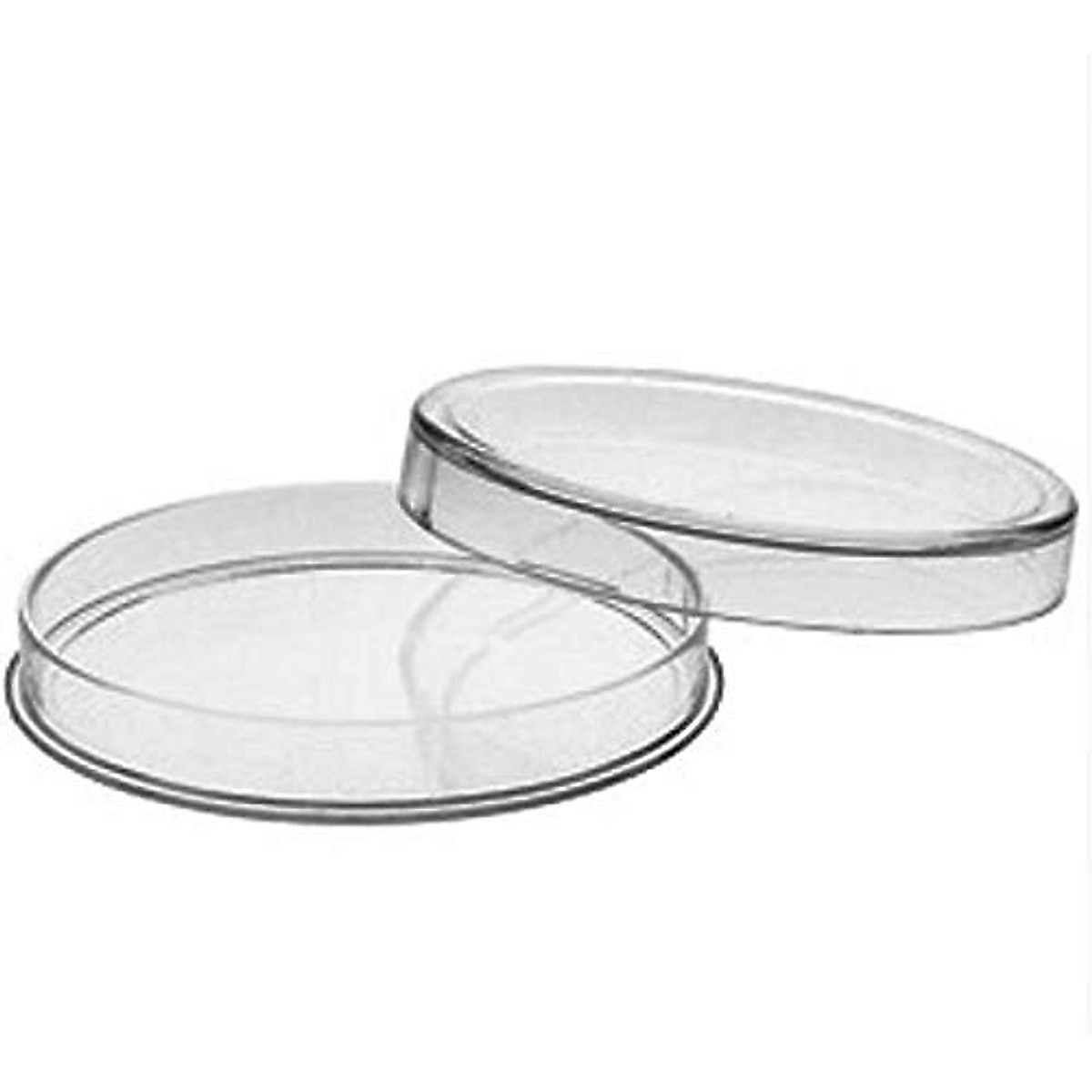 2020 1 OZ .999 Silver Eagle Dollar Coin BU, Walking Liberty, Uncirculated by US Mint- Comes with Coin Capsule Holder Sealed Protection