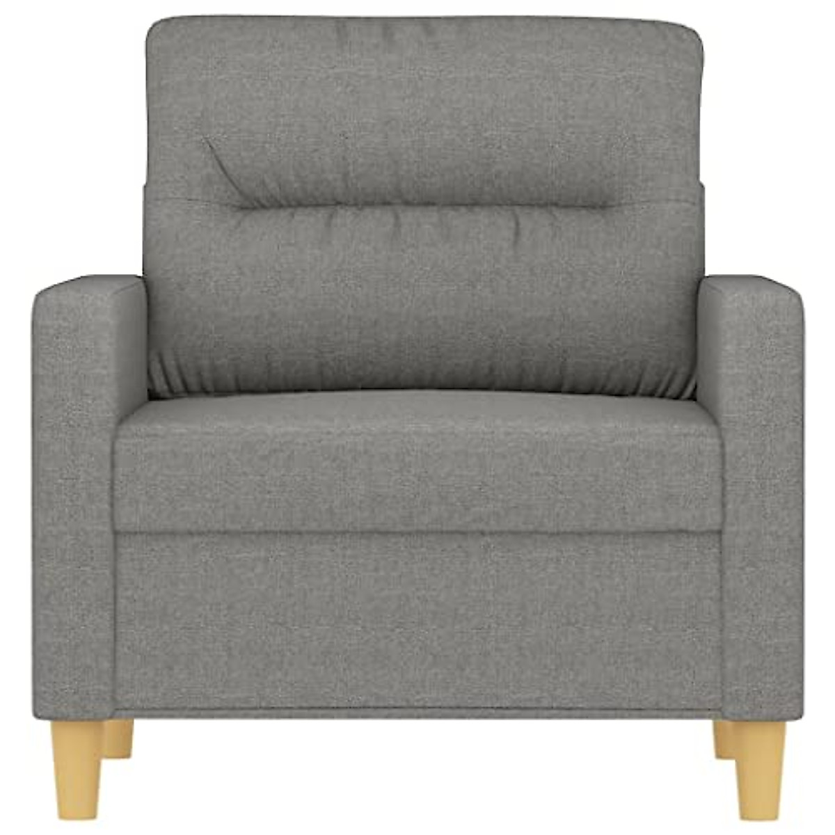 WHOPBXGAD Sofa Chair,Living Room Sofas, upholstered Sofas for Living Rooms, bedrooms, Offices and Apartments,Dark Gray 23.6" Fabric