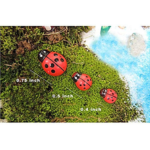 200 Pcs Mini Wooden Ladybugs Stickers with 3 Sizes for Fairy Garden Home Decor