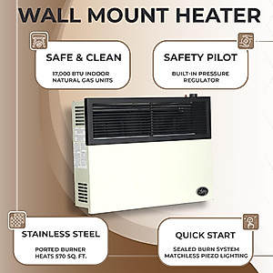 Ashley Hearth Products 17,000 BTU Direct Vent Liquid Propane Wall Mounted Heater with Piezo Lightning, Safety Pilot and Built in Regulator, Cream
