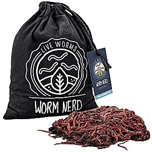 Worm Nerd Red Wiggler Live Worms, Composting Worms for Vermiculture/Composting - 100 Pack ***Cannot Ship to Hawaii***