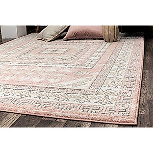 Rugs America Harper HY40A Carnation Transitional Vintage Area Rug, 5'x7'