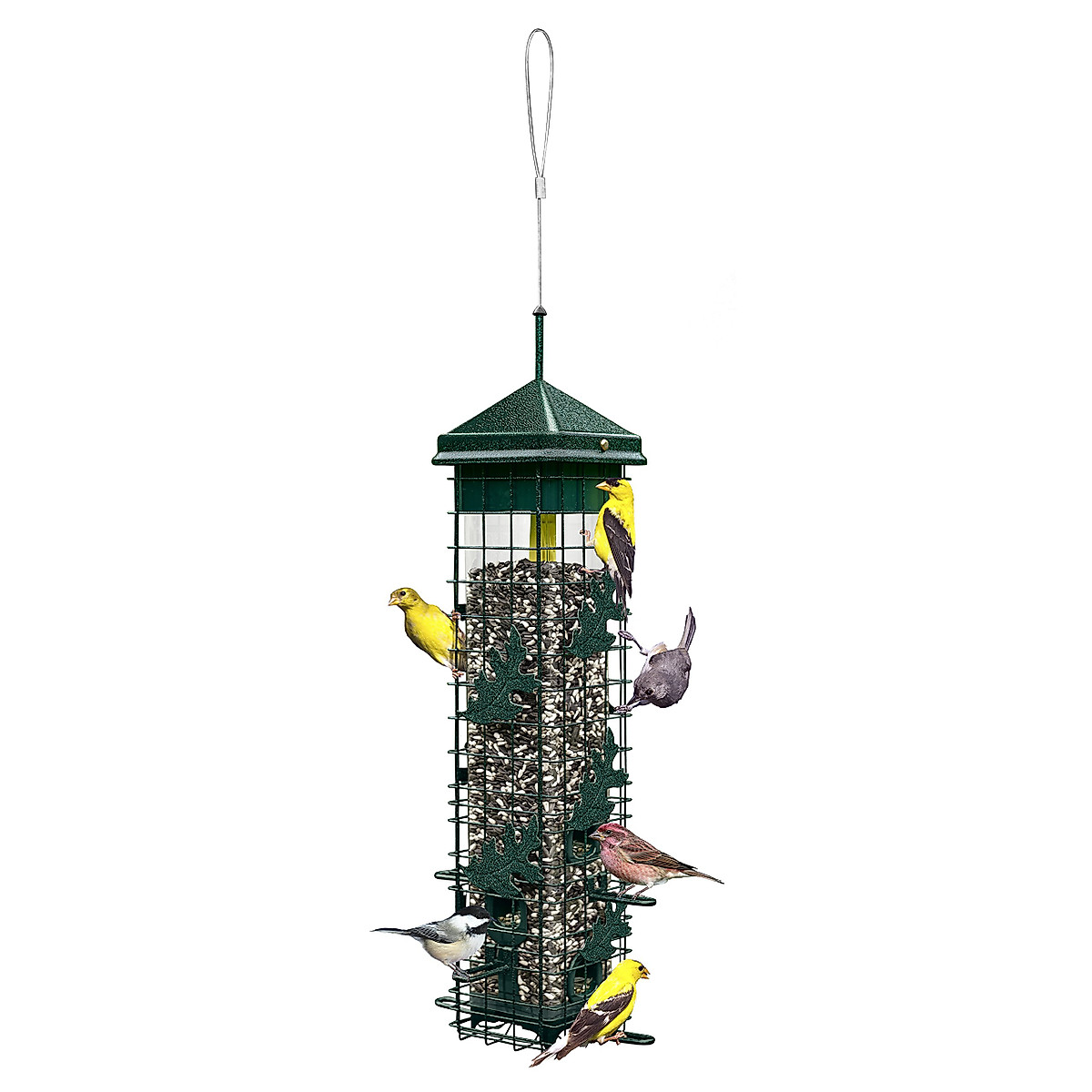 Squirrel Solution200 Squirrel-proof Bird Feeder w/6 Feeding Ports, 3.4-pound Seed Capacity, Free Seed Funnel