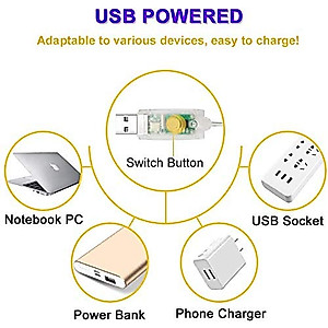 Starry Fairy Lights String Lights, 33 Feet, 100 LEDs,with Remote Control,USB Bendable Copper Twinkle Lights, Decorative Lights for Kid's Room,Patio, Garden, Party, (Warm White)2 Pack