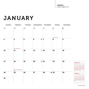 This Is My Bookstore 2021 Wall Calendar: (12-Month Calendar for Book Lovers, Bookshop Photography Monthly Calendar)