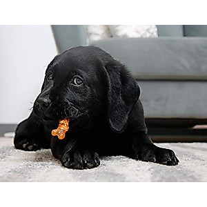 Hartz Oinkies Rawhide-Free Chicken-Wrapped Lasting Chew Bone Dog Treats, 12 Count, Highly Digestible, No Artificial Flavors or Colors