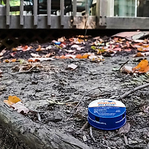 Homeplus™ Ant Killer AB, Metal Ant Bait, Ants Killer for House, Ant Traps Indoor & Outdoor, 12 Pack