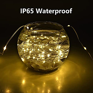 Fairy Lights USB Plug in, 2 Pack×33ft LED String Lights with Remote, 8 Modes Fairy String Lights, Christmas Lights Indoor Outdoor, Twinkle Lights for Bedroom, Party,Garden,Tree (Warm White)