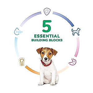 Hill's Science Diet Dry Dog Food, Puppy, Small Bites, Chicken Meal & Barley Recipe, 15.5 lb. Bag