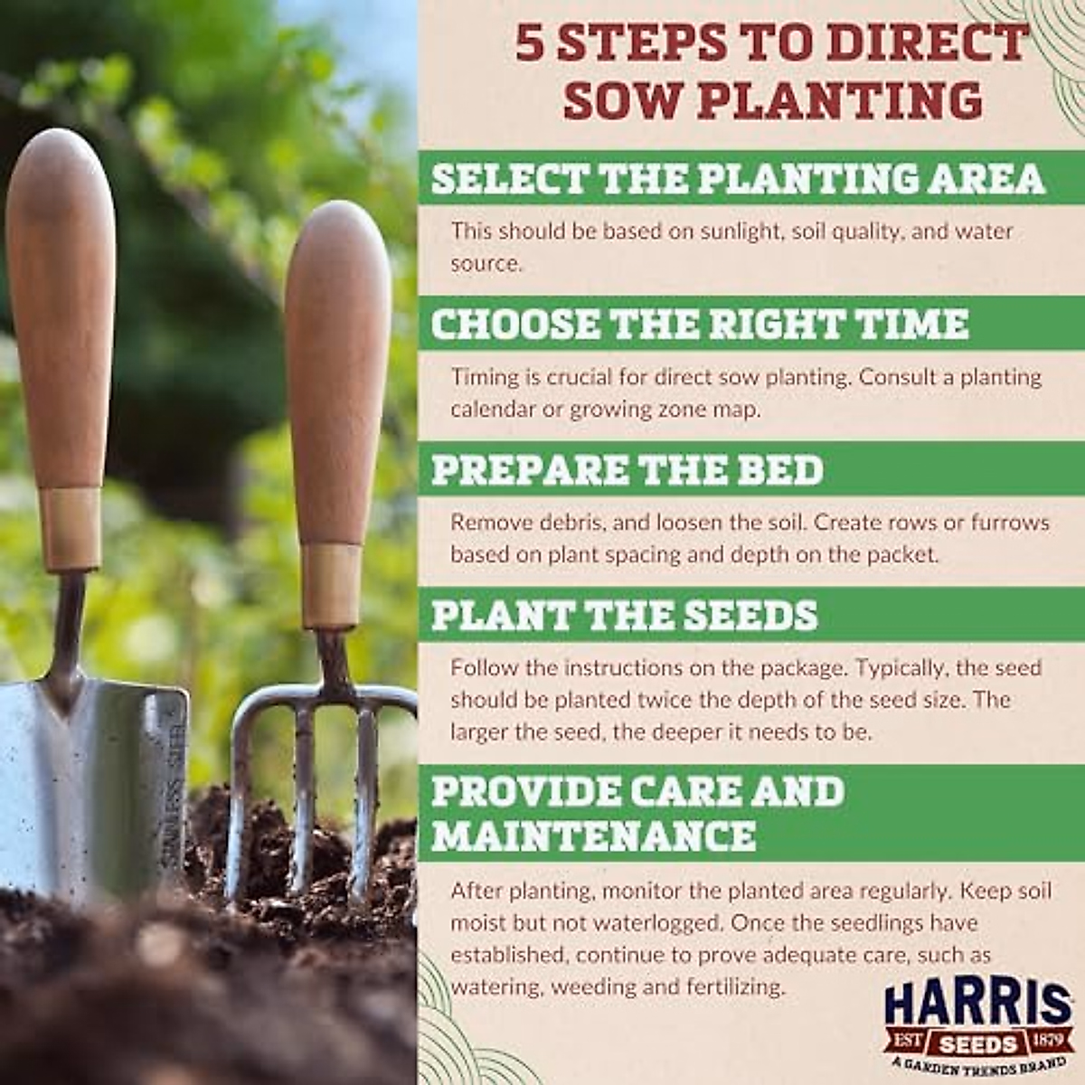 Garden Trends - Pea Seeds - Sugar Sprint Variety - Non-GMO Vegetable for Outdoor Planting Home Garden - Compact Vines - Edible, Stringless Pods - 100 Seeds