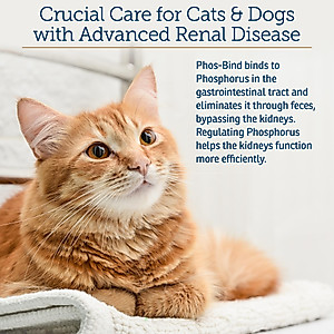 Rx Vitamins Phos-Bind - Kidney Support Supplement Powder - Phosphate Binder for Cats & Dogs for Kidney Health - Supports Normal Kidney Cleanse and Essential Kidney Care - 35g