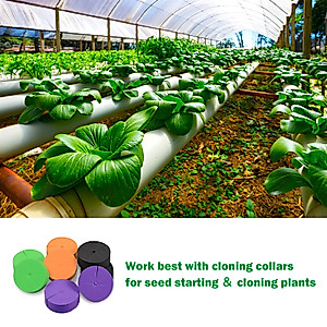 Rlioy 40 Pack Cloning Collars Inserts Premium Grade Foam, Fits 2 Inches Net Pots, for Hydroponics, Cloning, DIY Cloner and Clone Machines (40 Pack)