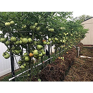 BaleBuster Straw Bale Gardening Twenty Bale Preparation kit Traditional Refined NPK Formulation 24 lbs (not Organic)