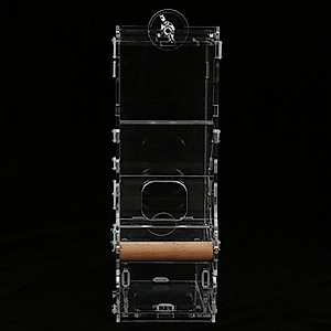 Bird Automatic Food Feeder, 1Pc Acrylic Transparent Parrot Integrated Automatic Feeder Automatic Bird Seed Feeder for Small to Medium Birds(M Single Type)