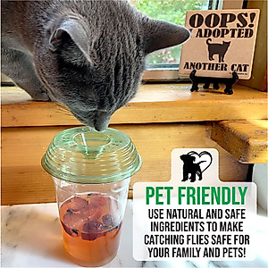 Billy-Bob Fly Lid Combo- Indoor Outdoor Eco Friendly Fly Control Pack - Includes 6 Fly-Lids (3-2 Packs) for Disposable Cups and 2 Fly-Lids for 5 Gallon Buckets