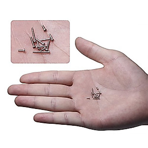 Mini Skater 23 Size Nickel Plating Tiny Eyeglass Screws Sunglass Spectacles Watch Repair Replace Micro Parts Assortment kit,1650PCS