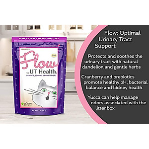 In Clover Smile Daily Dental Health Soft Chews for Cats (10.5 Oz) & Flow Soft Chews for Cats, Daily Support for UT Health (10.5 Oz)