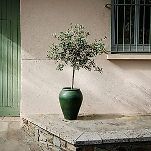 Olive Tree Potting Soil Mix (12 Quarts), for Planting, Repotting, and Growing Olive Bushes/Plants