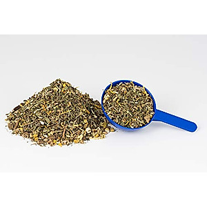 Herb Power: Supports All Year Round Natural Health