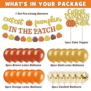 Pumpkin Party Decorations Cutest Pumpkin in the Patch Banner Little Pumpkin Baby Shower Decorations Cake Topper Fall Party Balloons for Fall Birthday Party Decorations Thanksgiving Party Supplies