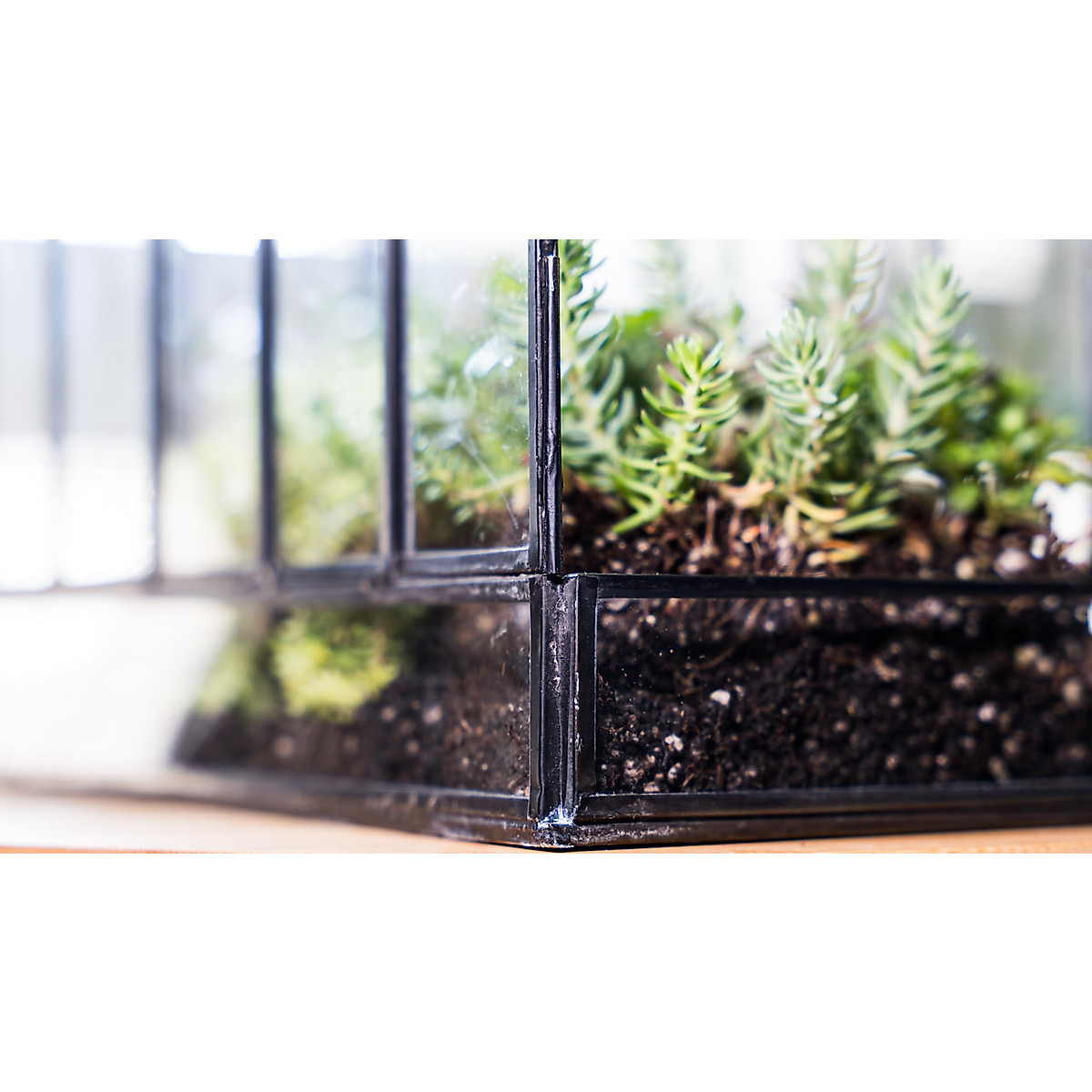 Urban Born Large Indoor Greenhouse Shape Terrarium — 10" x 6" x 10" (Black)