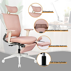 Foldable Ergonomic Office Chair with Footrest, High Back Computer Chair with 2D Headrest, Mesh Back, Sponge Seat, Adjustable Lumbar Support, 2D Armrest, Home Office Desk Chair, Pink