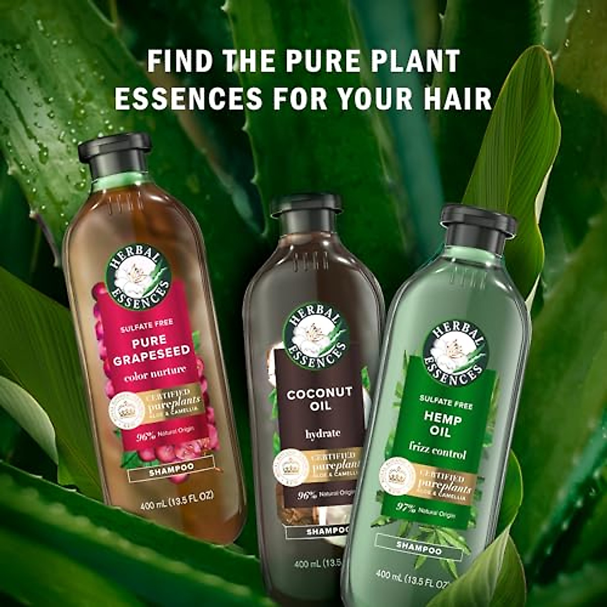 Herbal Essences Bio: Renew Coconut Milk Shampoo, 4 Count