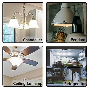 4 Pack A15 40W 120V Oven Bulbs with E26 Standard Medium Base, A15 Appliance Light Bulb for Refrigerators, Ovens and 16.3 Inches Lava Lamp