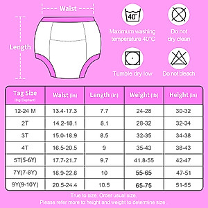 BIG ELEPHANT Potty Training Underwear, 100% Cotton Absorbent Unisex Toddler Pee Pants for Boys & Girls (Floral Series, 10-Pack, 2T)