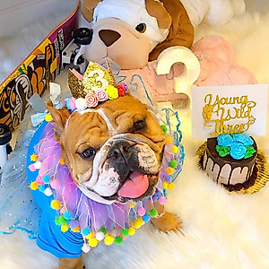 ipalmay Baby Princess Glitter Pink Crown, 3st Birthday Party Hat Pink with Mix Rainbow Color Flowers