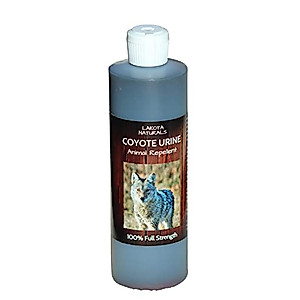 Lakota Naturals Coyote Urine All Natural Animal & Rodent Repellent - Makes It Seem Like a Coyote is Nearby!