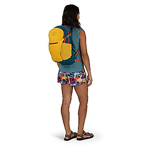 Osprey Daylite Plus Everyday Backpack, Silver Lining/Blueberry, One Size