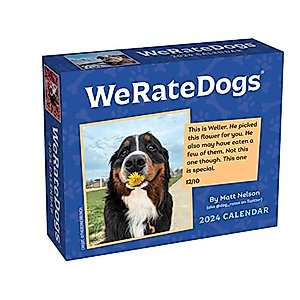 WeRateDogs 2024 Day-to-Day Calendar