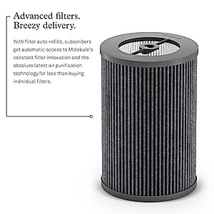 Molekule Air Pro Air Purifier for Large Rooms up to 1000sq. ft. with PECO Technology, Compatible with Alexa, Eliminates Smoke, Mold, Bacteria & Other Pollutants for Clean Air – Silver