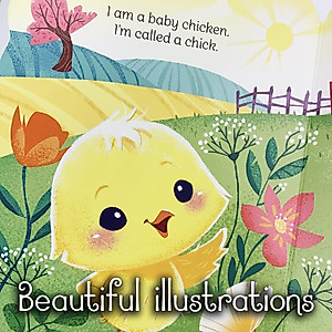 A Little Chick - Children's Animal Shaped Board Book