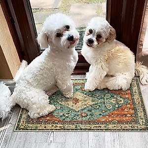 Lahome Boho Retro Ultra-Thin Indoor Door Mat 2x3,Washable Non-Slip 24"x35" Entryway Rugs Low-Pile Absorbent Front Door Doormats Inside Soft Entry Entrance Dirt Trapper,Orange