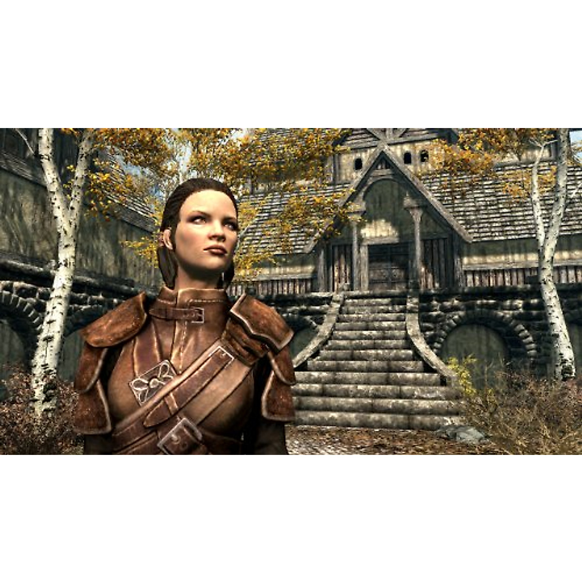 The Elder Scrolls V: Skyrim - PC