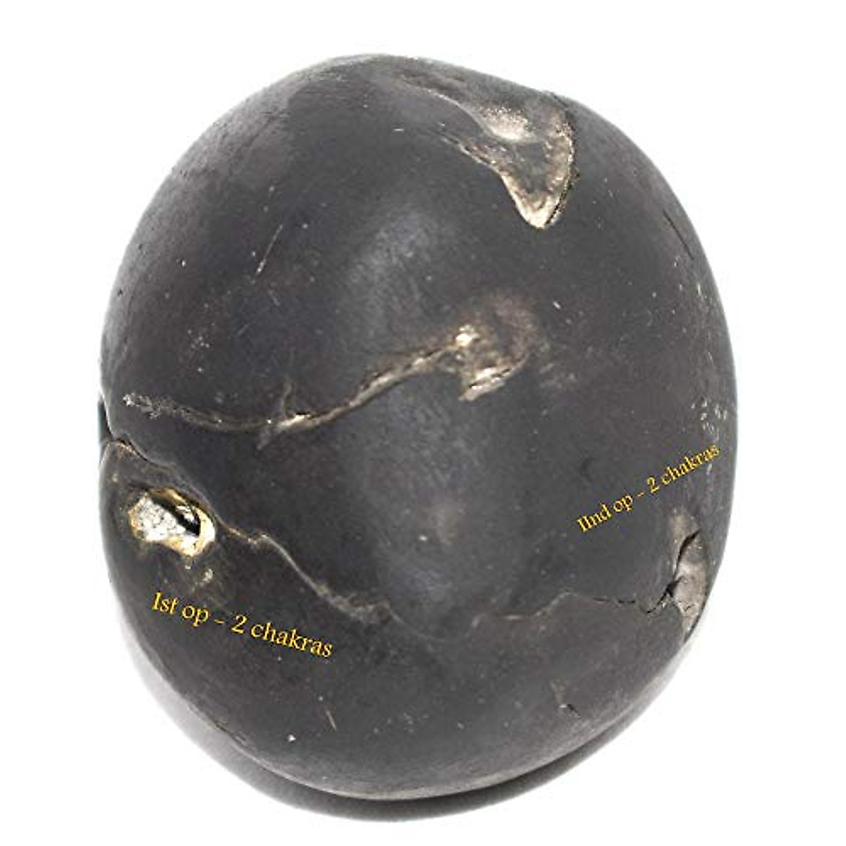 Rudrakshguru Janardhana Shaligram - Gandaki River Nepal