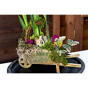 SuperMoss 7 59834 23310 7 B00I6AKFI8, 80.75 in3 Bag (Appx. 2oz), 0