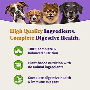 Halo Holistic Adult Dog Vegan Plant-Based Recipe with Superfoods 3.5 lb Bag