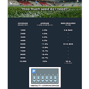 Twin City Seed Co. Bee Lawn Mix, Grass & Flower Mixture, 1 lb Bag