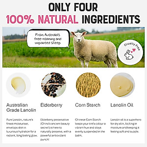 Dr. Lipp Superfood Lip Tint Elderberry 8ml – 4-in-ONE Ultra Moisturising Tinted Lip Balm, Lip Gloss, Cheek Blush & Glossy Eyeshadow – 100% Natural – Fragrance & Cruelty Free